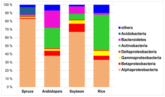 Forest Tree Microbiomes and Associated Fungal Endophytes: Functional ...