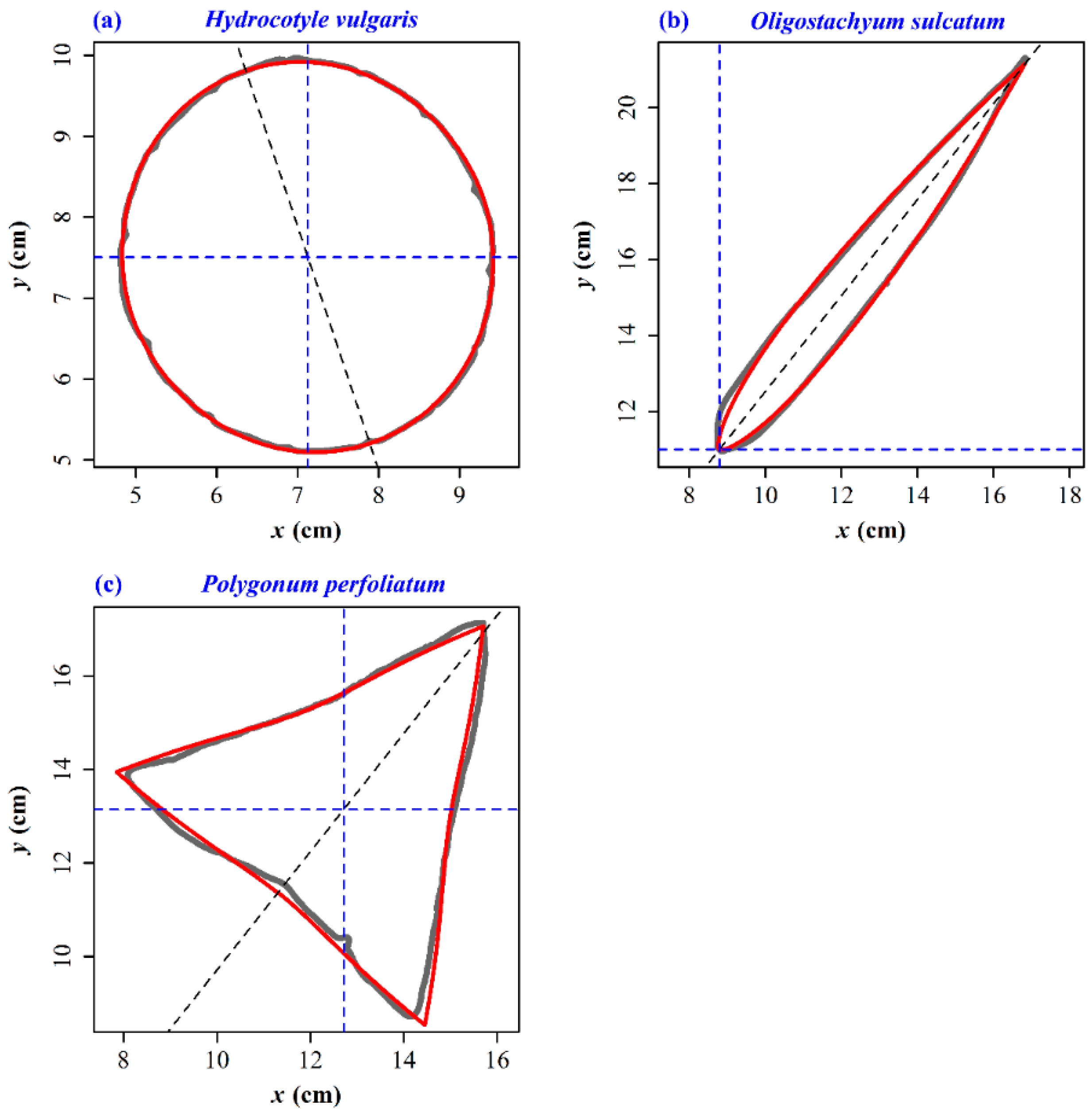 Proportional Relationship between Leaf Area and the Product of Leaf ...