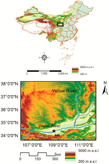 Forests | Special Issue : Forest Hydrology and Watershed