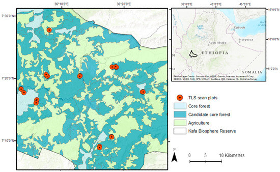 Linking Terrestrial LiDAR Scanner and Conventional Forest Structure ...