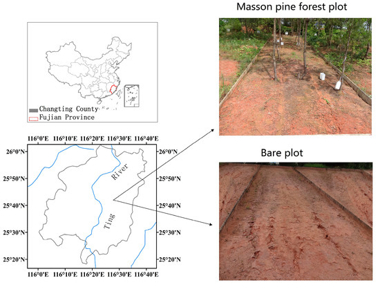 Forests | Free Full-Text | Influence of Canopy Interception and ...