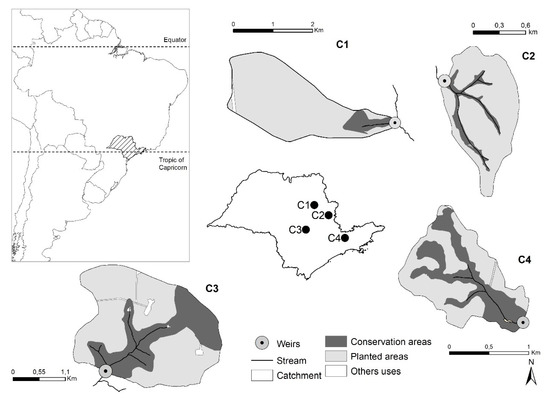 Eucalyptus Short-Rotation Management Effects on Nutrient and Sediments in Subtropical Streams