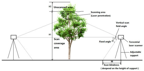A Novel Tree Height Extraction Approach for Individual Trees by Combining TLS and UAV Image ...