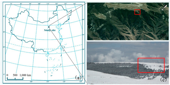 Large Underground Pyramid In Alaska