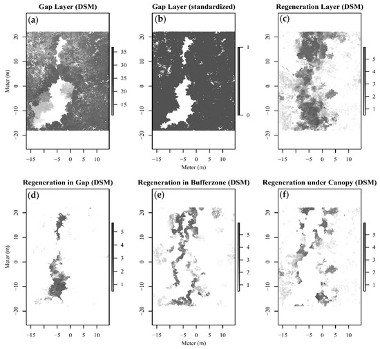 Forests | Special Issue : Role of Gap Factors in Forest Tree Regeneration and Plant Communities