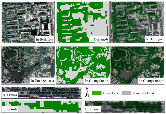 Forests | Free Full-Text | Understanding the Spatial Distribution of ...