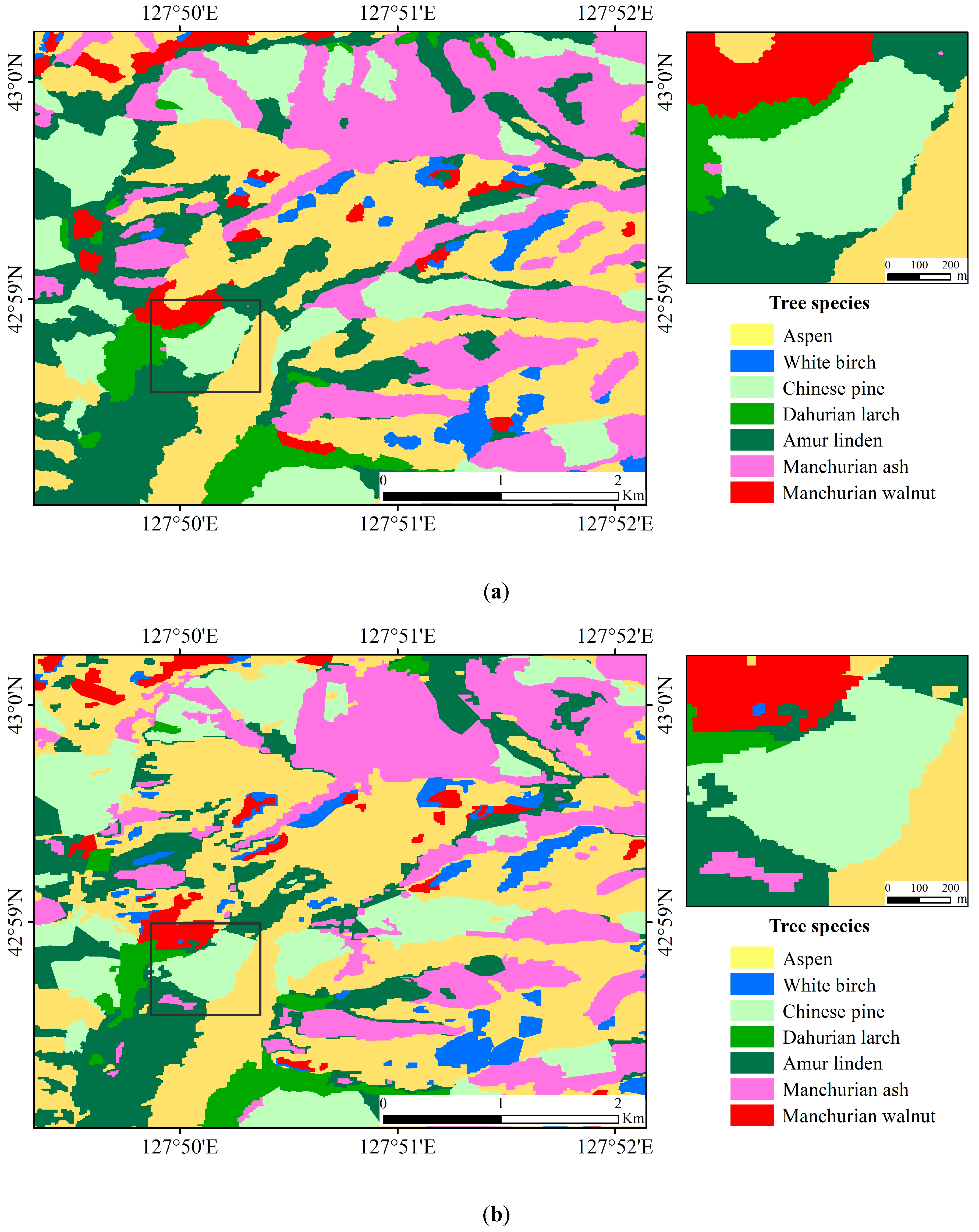 Mapping Tree Species Composition Using OHS-1 Hyperspectral Data and ...