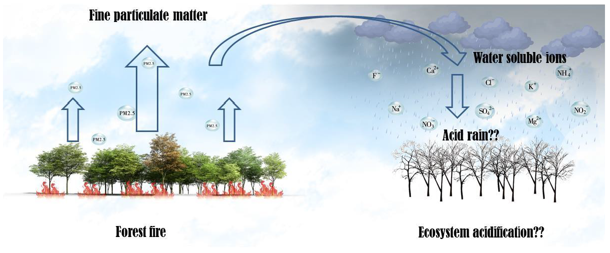 Forests | Free Full-Text | Water-Soluble Inorganic Ions in Fine ...
