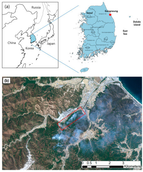 Using UAV Multispectral Images for Classification of Forest Burn ...