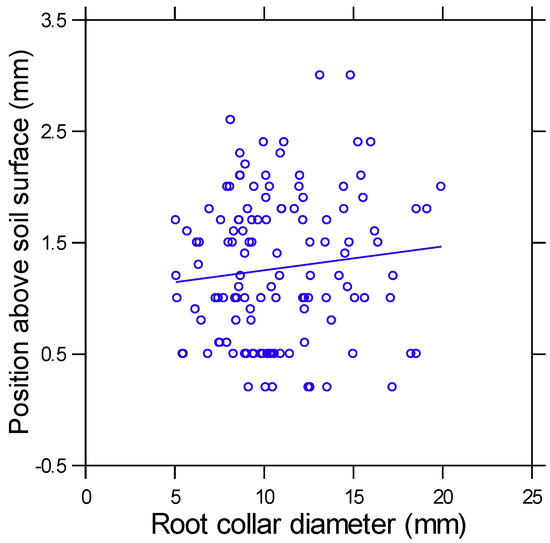 Fire Survival of Longleaf Pine (Pinus palustris) Grass Stage Seedlings ...