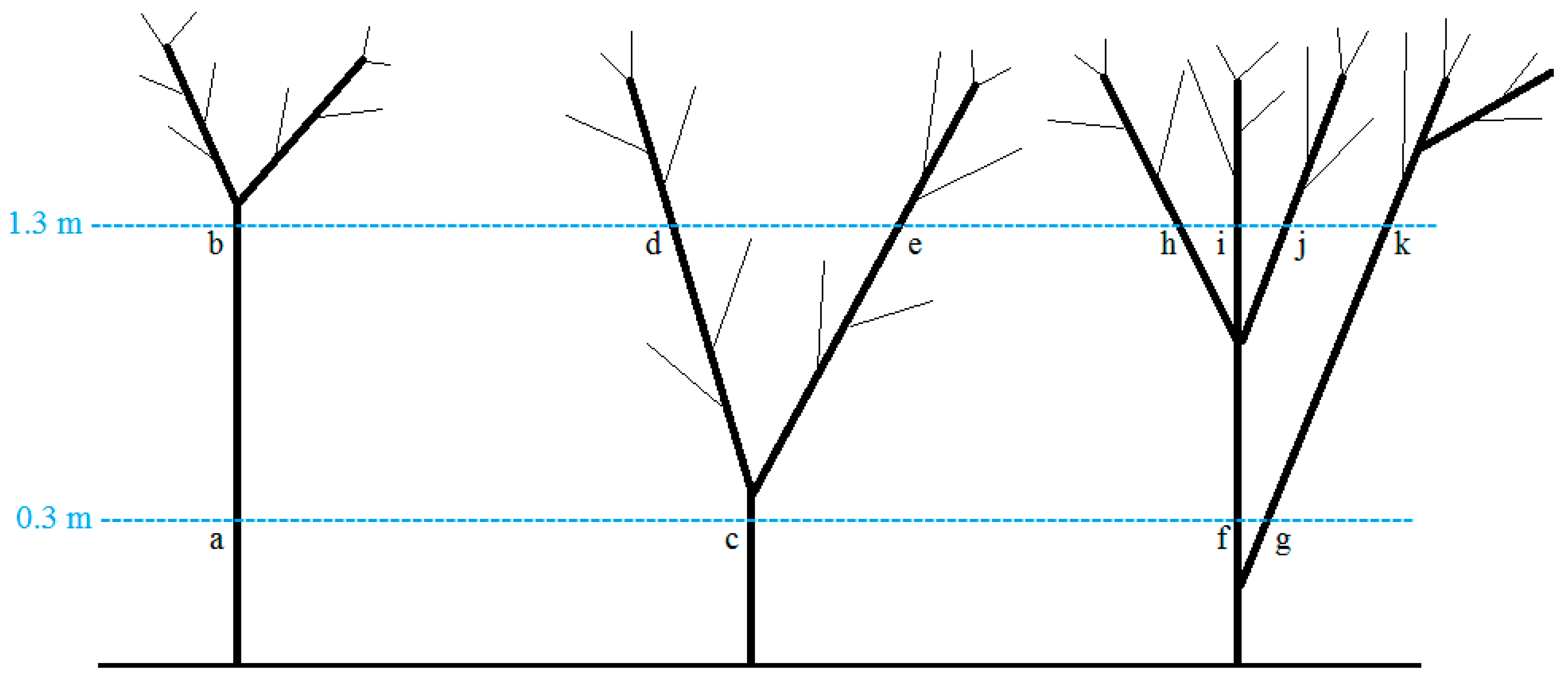 Forests | Free Full-Text | Allometric Models for Predicting Aboveground ...