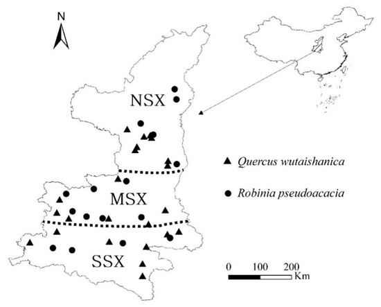 Carbon Cycles of Forest Ecosystems in a Typical Climate Transition Zone ...