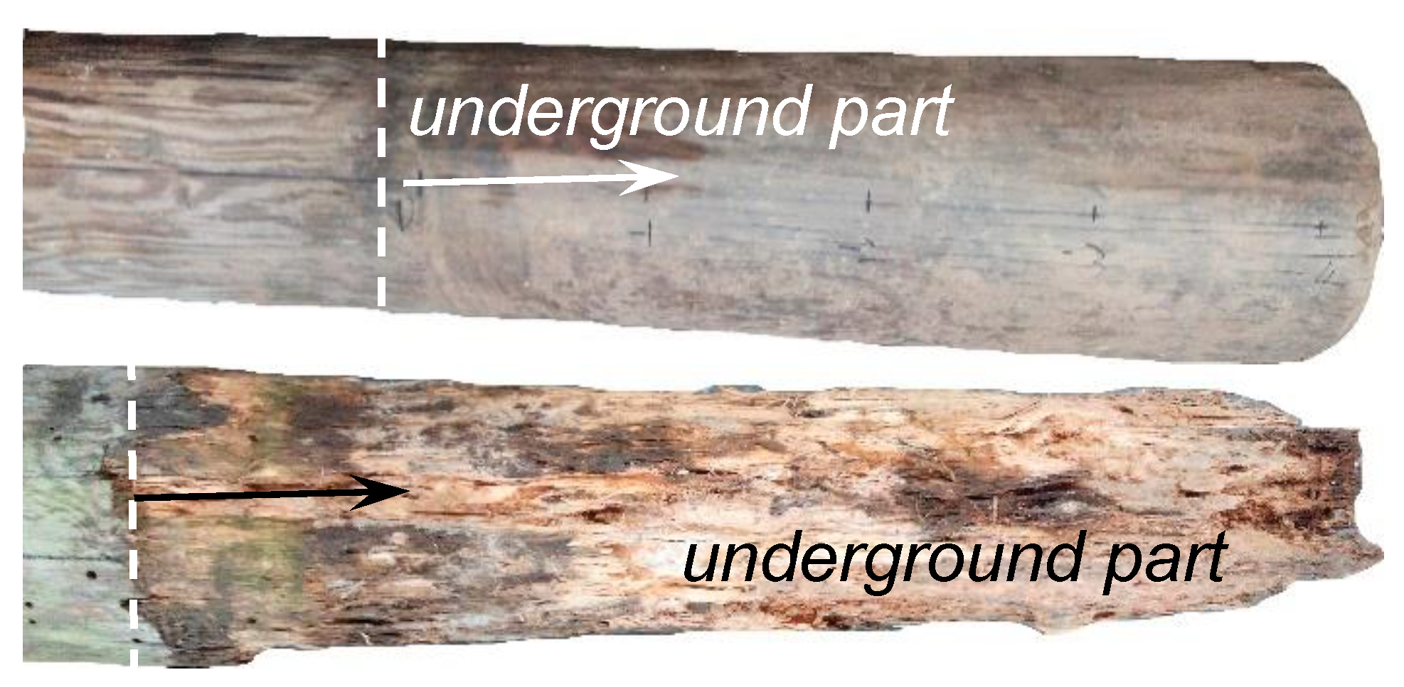 Assessment of Preservative-Treated Wooden Poles Using Drilling ...