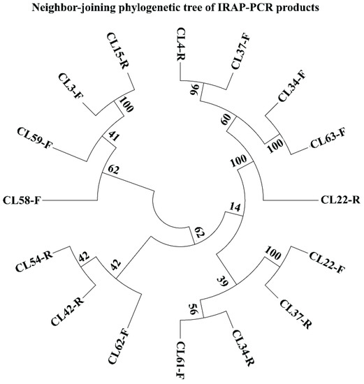 Forests | Special Issue : Genetics and Improvement of Forest Trees