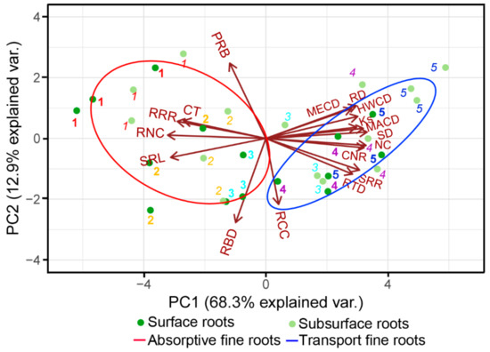 Functional Trait Plasticity but Not Coordination Differs in Absorptive ...