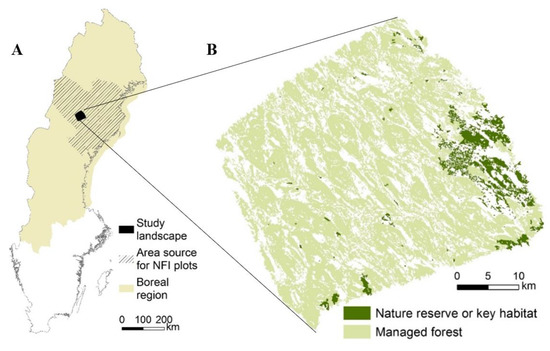 How Well Do Stakeholder-Defined Forest Management Scenarios Balance ...