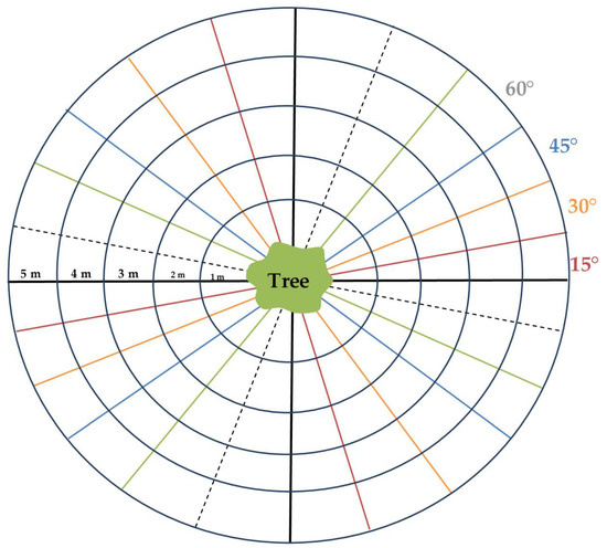 Image Data Acquisition for Estimating Individual Trees Metrics: Closer ...