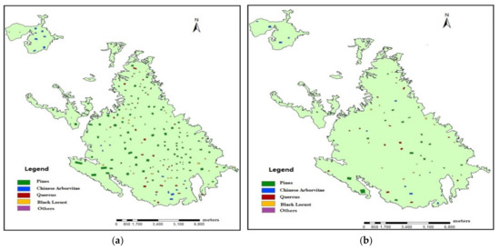 Tree Species Distribution Change Study in Mount Tai Based on Landsat ...