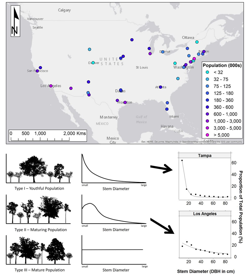 Forests | Free Full-Text | DBH Distributions in America’s Urban Forests ...