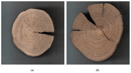 Wood in the Construction of Forest Roads on Poor-bearing Road Subgrades