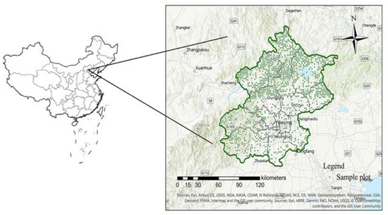 Estimation of Forest Biomass in Beijing (China) Using Multisource ...