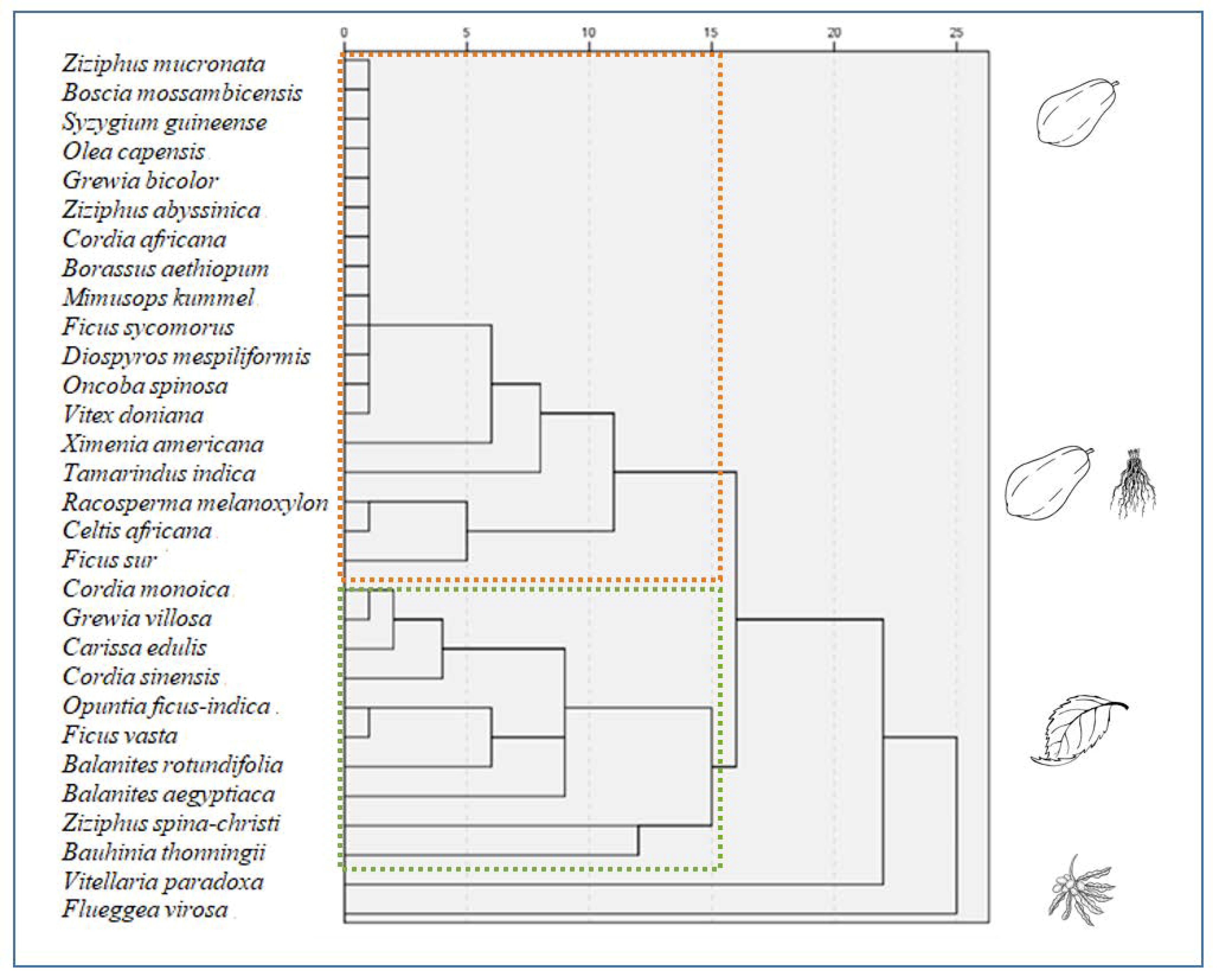 Ethnobotanical Survey of Wild Edible Fruit Tree Species in Lowland ...