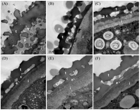Flowering Phenology and Characteristics of Pollen Aeroparticles of ...