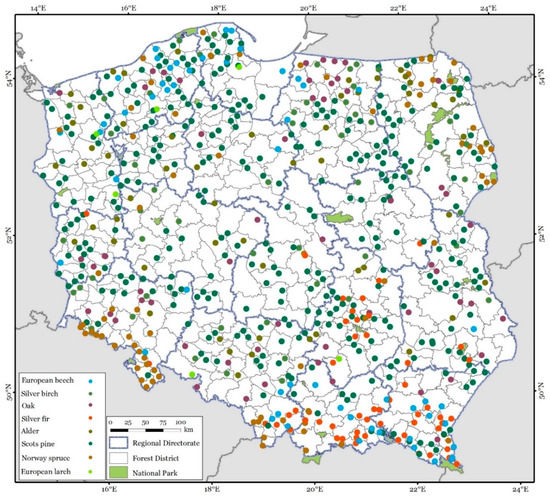 Forests | Free Full-Text | Site Index Models for Main Forest-Forming Tree Species in Poland