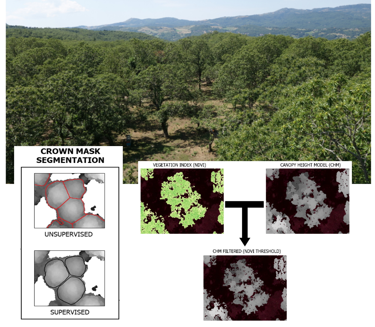 Forests | Free Full-Text | An Automatic UAV Based Segmentation Approach ...