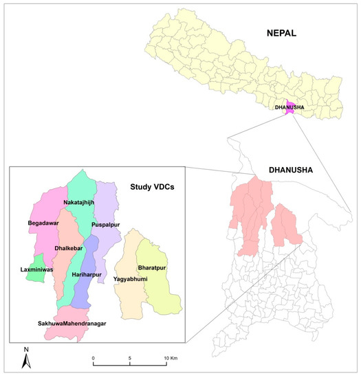 Who Adopts Agroforestry in a Subsistence Economy?—Lessons from the ...