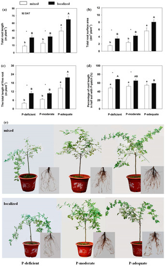 Localized and Moderate Phosphorus Application Improves Plant Growth and ...