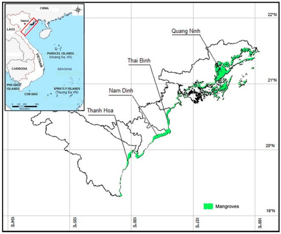 A Comparison of Soil Carbon Stocks of Intact and Restored Mangrove ...