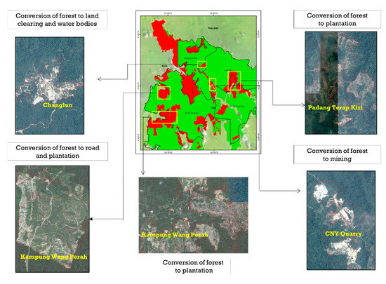 The Influence of Deforestation on Land Surface Temperature—A Case Study ...
