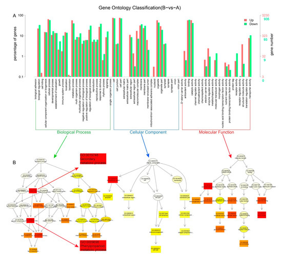 Forests | Special Issue : Genetics and Improvement of Forest Trees
