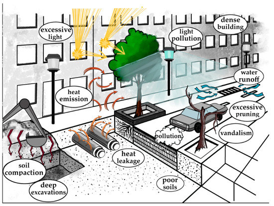 The Complex Issue of Urban Trees—Stress Factor Accumulation and ...