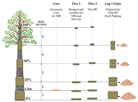Wood and Pulping Properties Variation of Acacia crassicarpa A.Cunn. ex ...