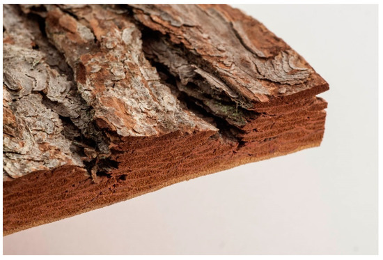 Specific Gravity of Inner and Outer Larch Bark
