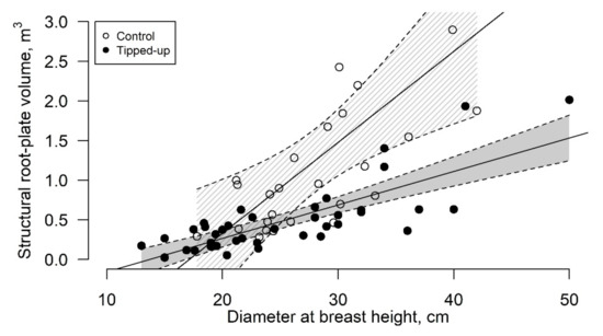 Forests | Free Full-Text | Structural Root-Plate Characteristics of ...