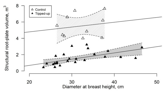 Forests | Free Full-Text | Structural Root-Plate Characteristics of ...