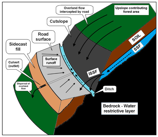 Impact of Forest Roads on Hydrological Processes