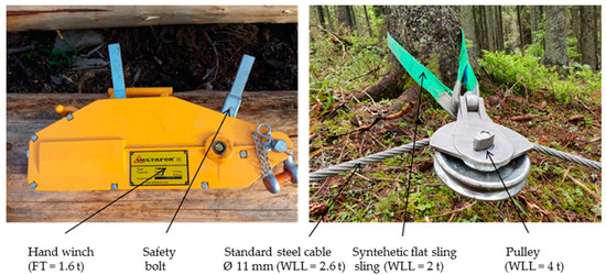 The Felling of Hung Up Trees—A Work Safety and Productivity Issue
