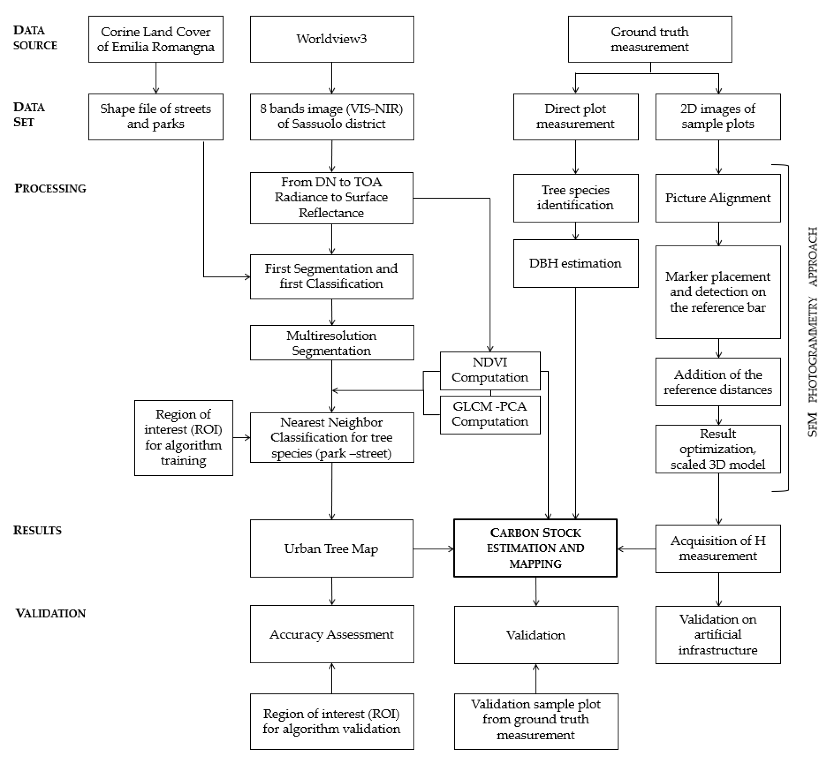 Forests | Free Full-Text | Urban Tree Species Identification and Carbon ...