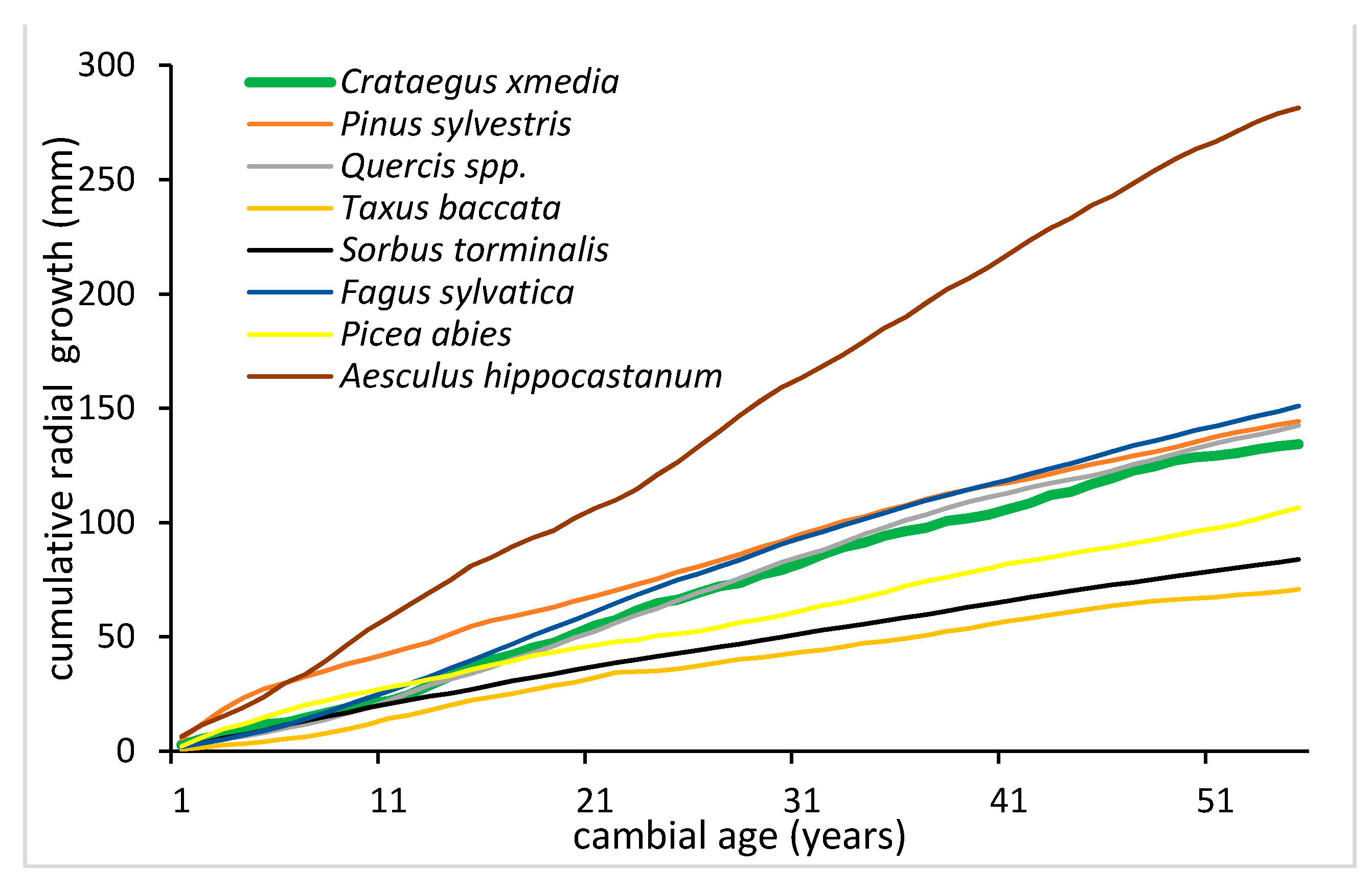 Tree-Ring Analysis of Intermediate Hawthorn (Crataegus media Bechst ...