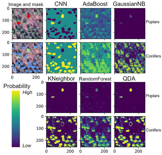 Forests | Free Full-Text | Using U-Net-Like Deep Convolutional Neural Networks for Precise Tree ...