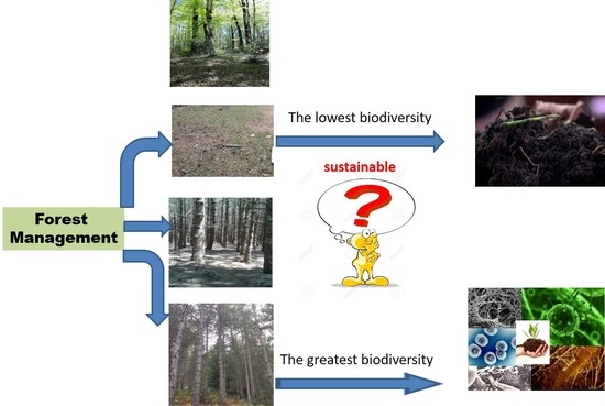 Forests | Special Issue : Plant-Soil Feedbacks on Carbon and Nutrient ...