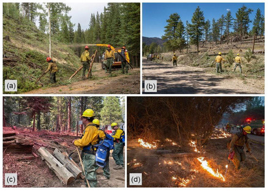 Forest Roads and Operational Wildfire Response Planning