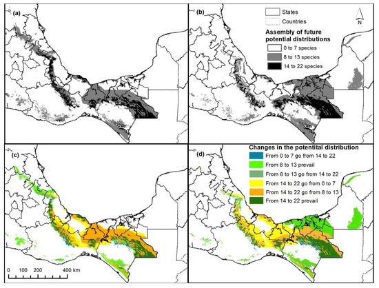 Projections for Mexico’s Tropical Rainforests Considering Ecological ...