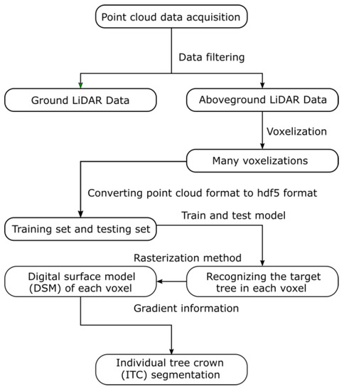Forests | Free Full-Text | Individual Tree Crown Segmentation Directly ...