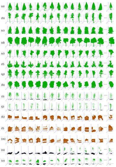 Forests | Free Full-Text | Individual Tree Crown Segmentation Directly ...