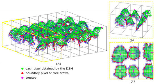 Forests | Free Full-Text | Individual Tree Crown Segmentation Directly from UAV-Borne LiDAR Data ...
